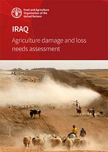Iraq – Agriculture damage and loss needs assessment – Iraqi Economists ...